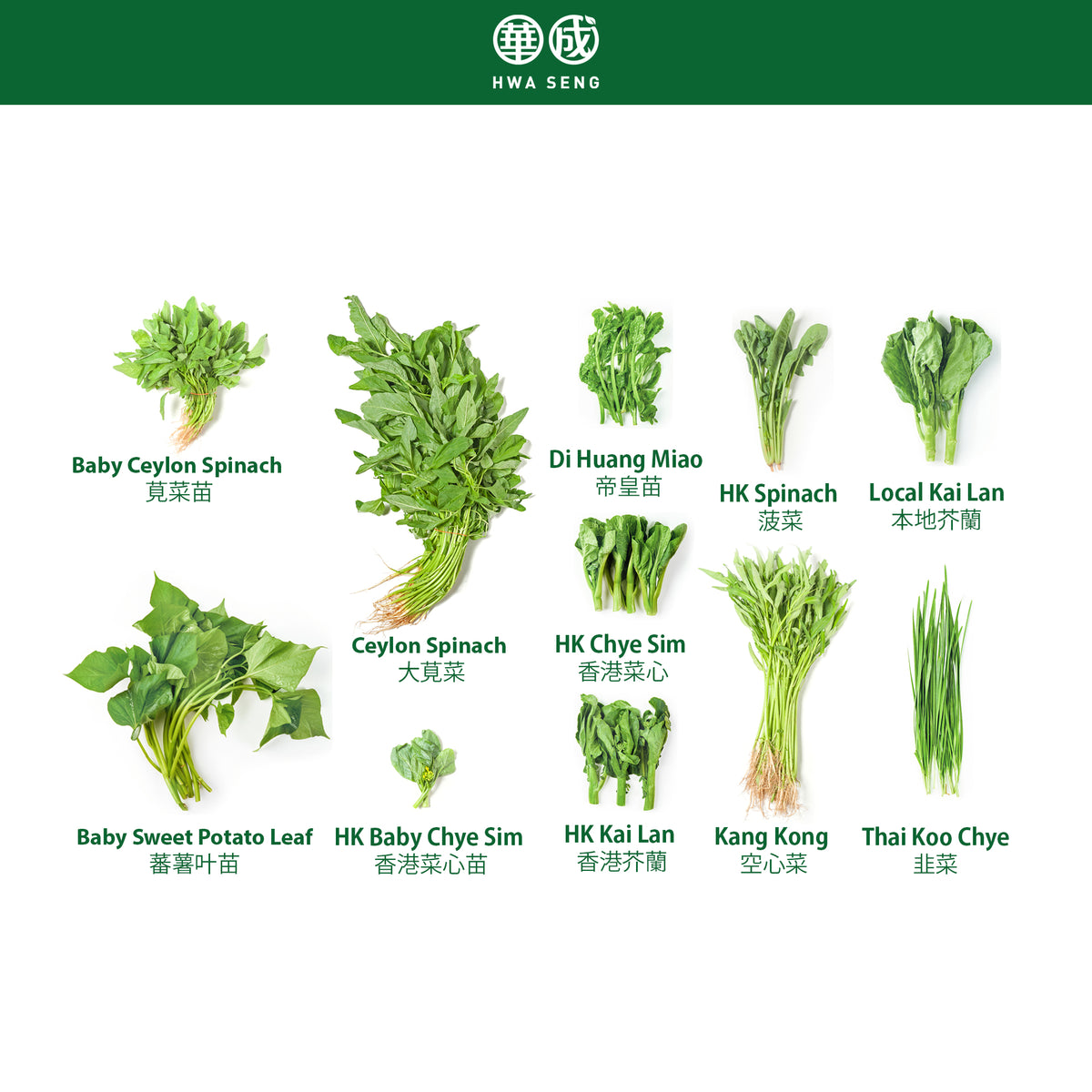 Leafy Vegetables – Hwa Seng Vege Fruits Supplier