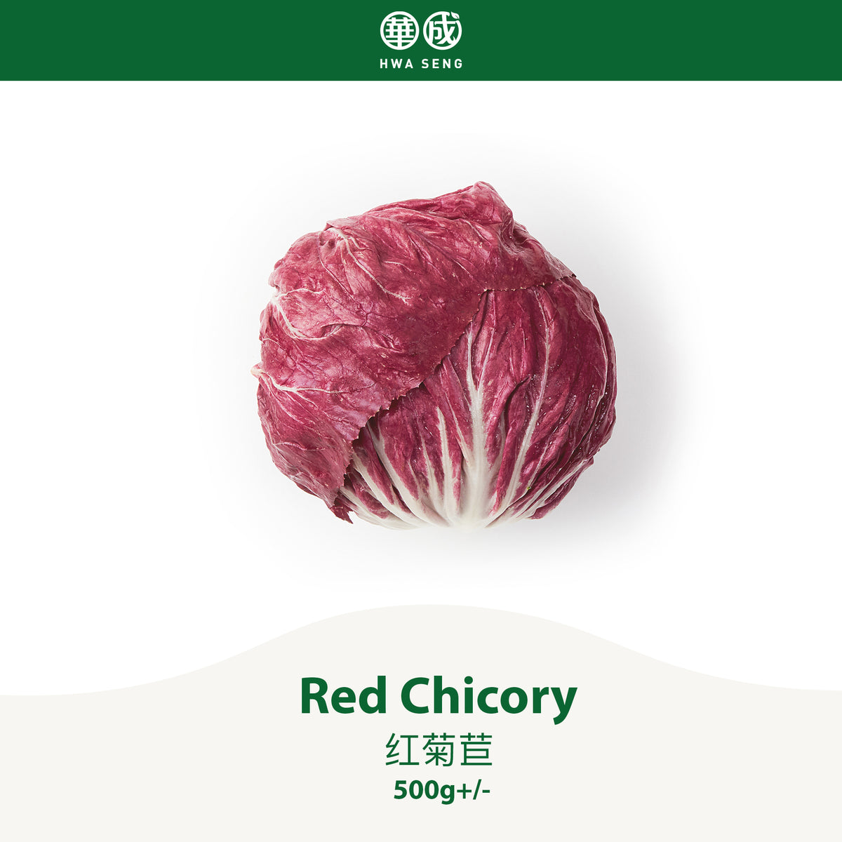Red Chicory 红菊苣 500g+/- – Hwa Seng Vege Fruits Supplier