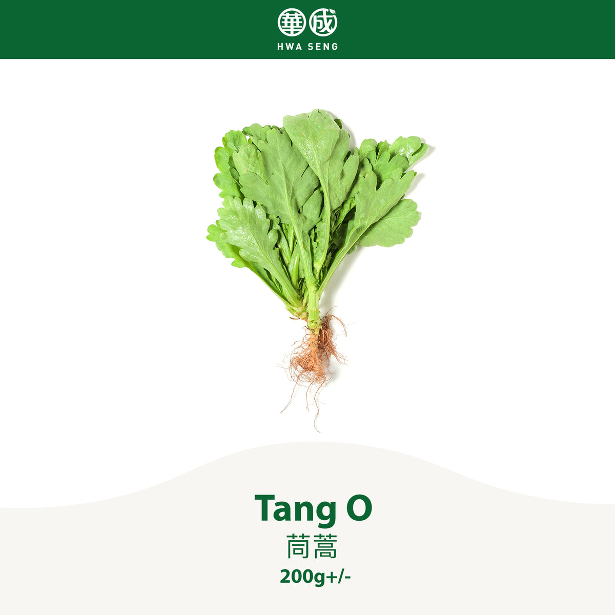 Tang O 茼蒿 200g+/- – Hwa Seng Vege Fruits Supplier