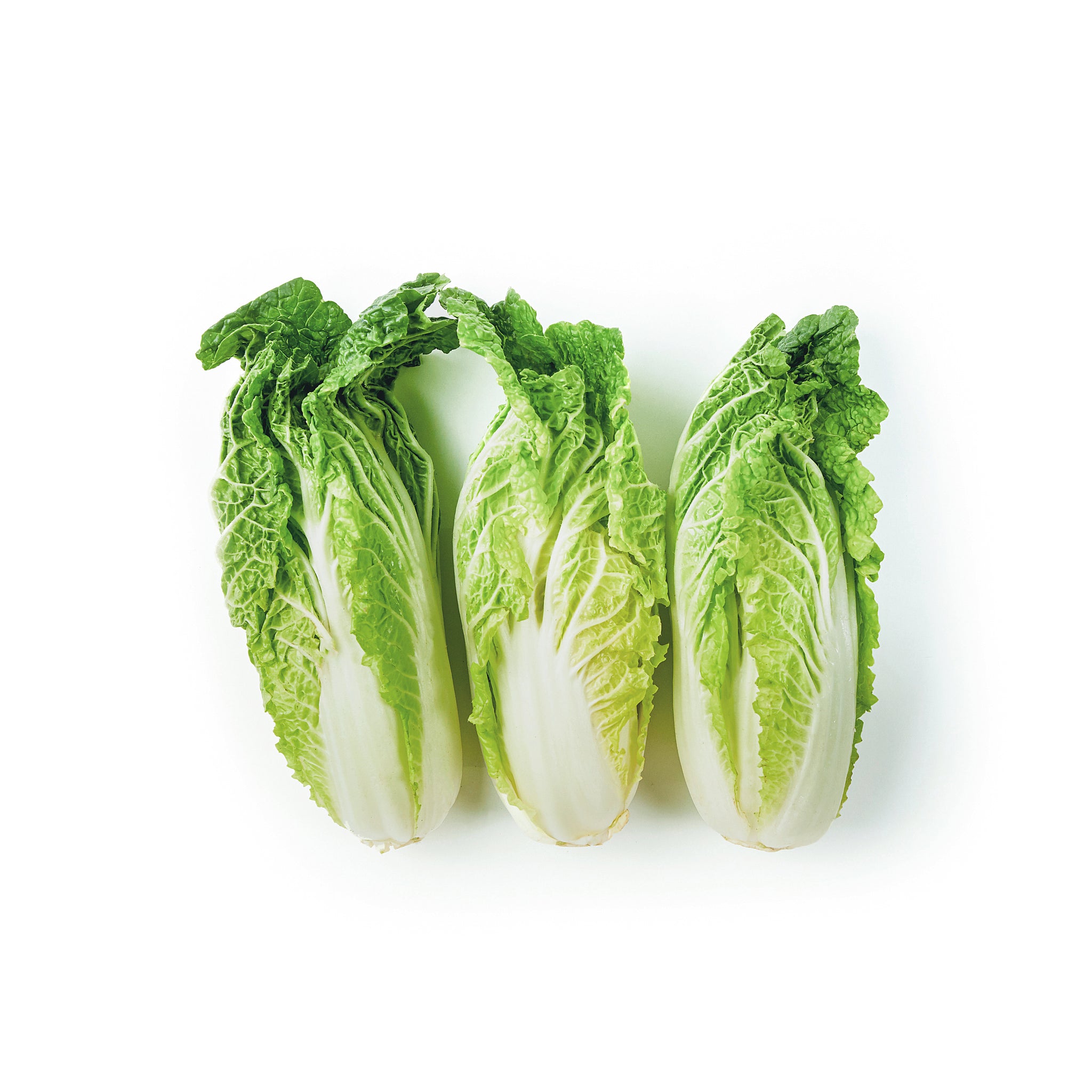 Wawa Choy Best Napa Cabbage Substitute (12 Options From A Pro Chef)